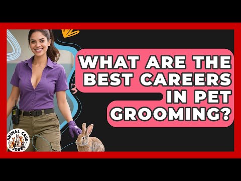 What Are the Best Careers in Pet Grooming? | Animal Care Jobs