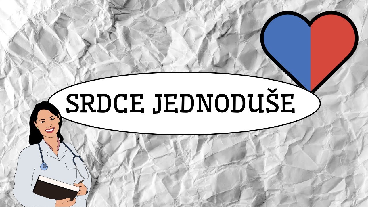 SRDCE JEDNODUŠE - struktura a proudění krve srdcem