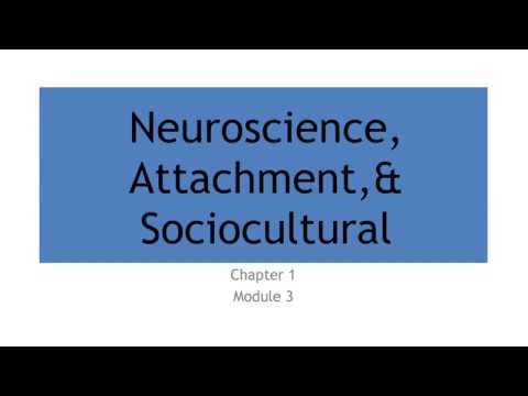 1.3 Neuroscience, Attachment, & Sociocultural