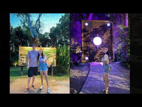 Dream Forest Langkawi Malaysia ( December 2024)
