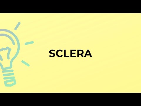 What is the meaning of the word SCLERA?