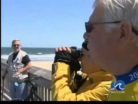 Whale tangled in fishing net - 6 p.m.