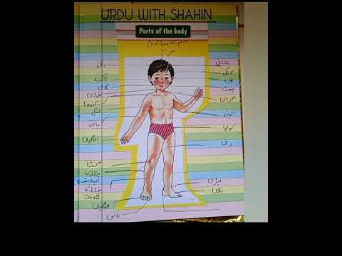 parts of body in urdu #ytshort #viral