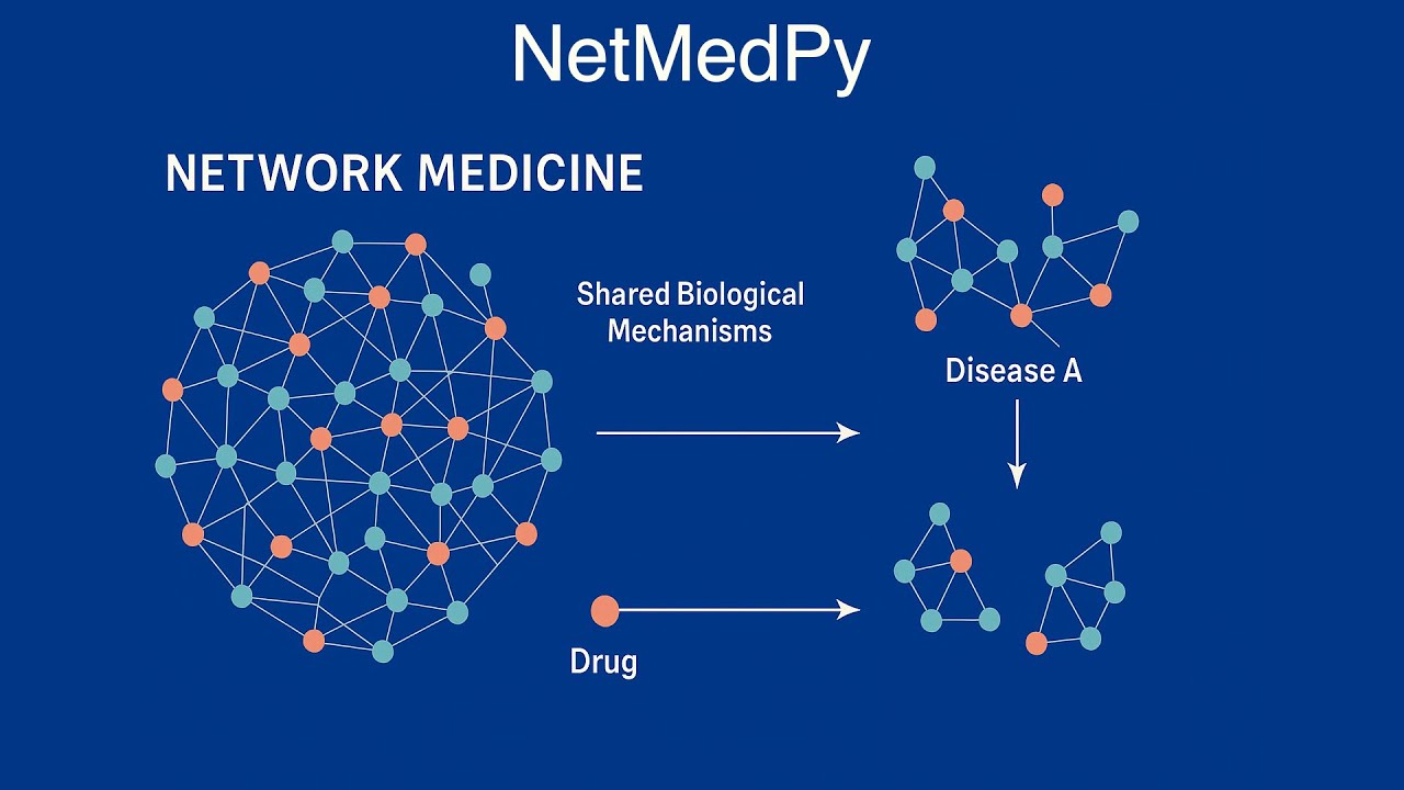 Network Medicine and the NetMedPy Python package.