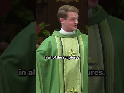 Mary's Last Words in Scripture #sjeplus #catholicmass #mary #homily #frdeclanmcnicholas