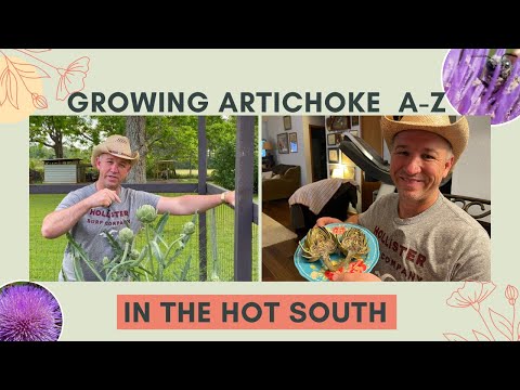 The Secret to Growing Artichoke! | Best Recipe