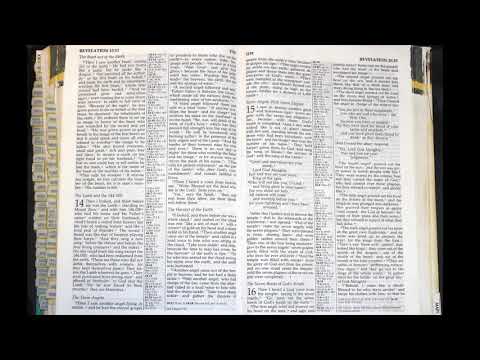 Holy Bible - Revelation 15 : 1 - 8