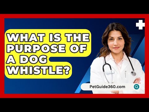 What Is The Purpose Of A Dog Whistle? - PetGuide360.com