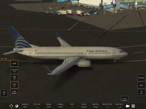 Copa Airlines 737-800 Takeoff from JFK Airport to Tocumen!