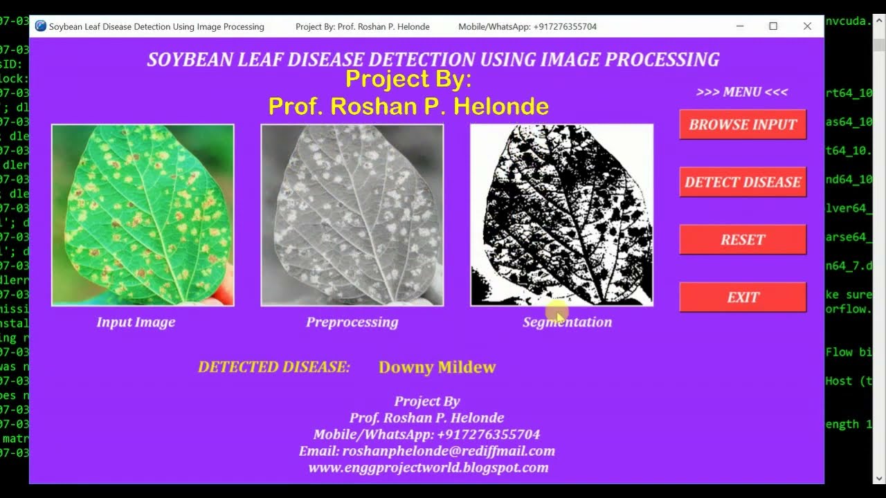 Soybean Leaf Disease Detection Using CNN Image Processing Python Project With Source Code