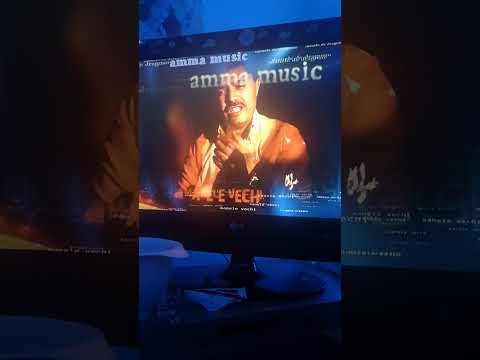 nicolae guta am gresit si eu ai gresit si tu (amma music sound)