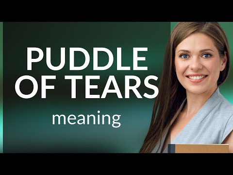 Understanding "Puddle of Tears" - An Emotional English Phrase