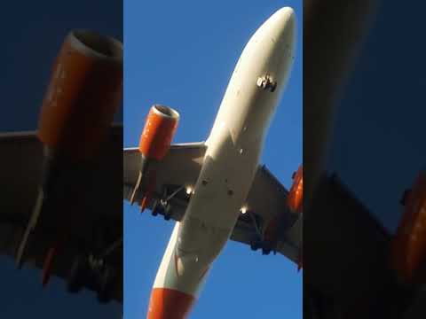 A320 landing at CPH Airport #cph #aviation #a320