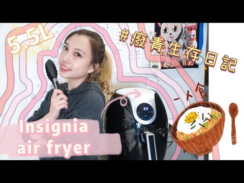 insignia 5.5L air fryer review: home cook food