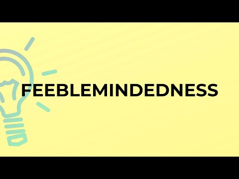 What is the meaning of the word FEEBLEMINDEDNESS?
