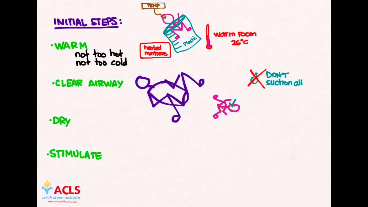 NRP Initial Steps  by ACLS Certification Institute