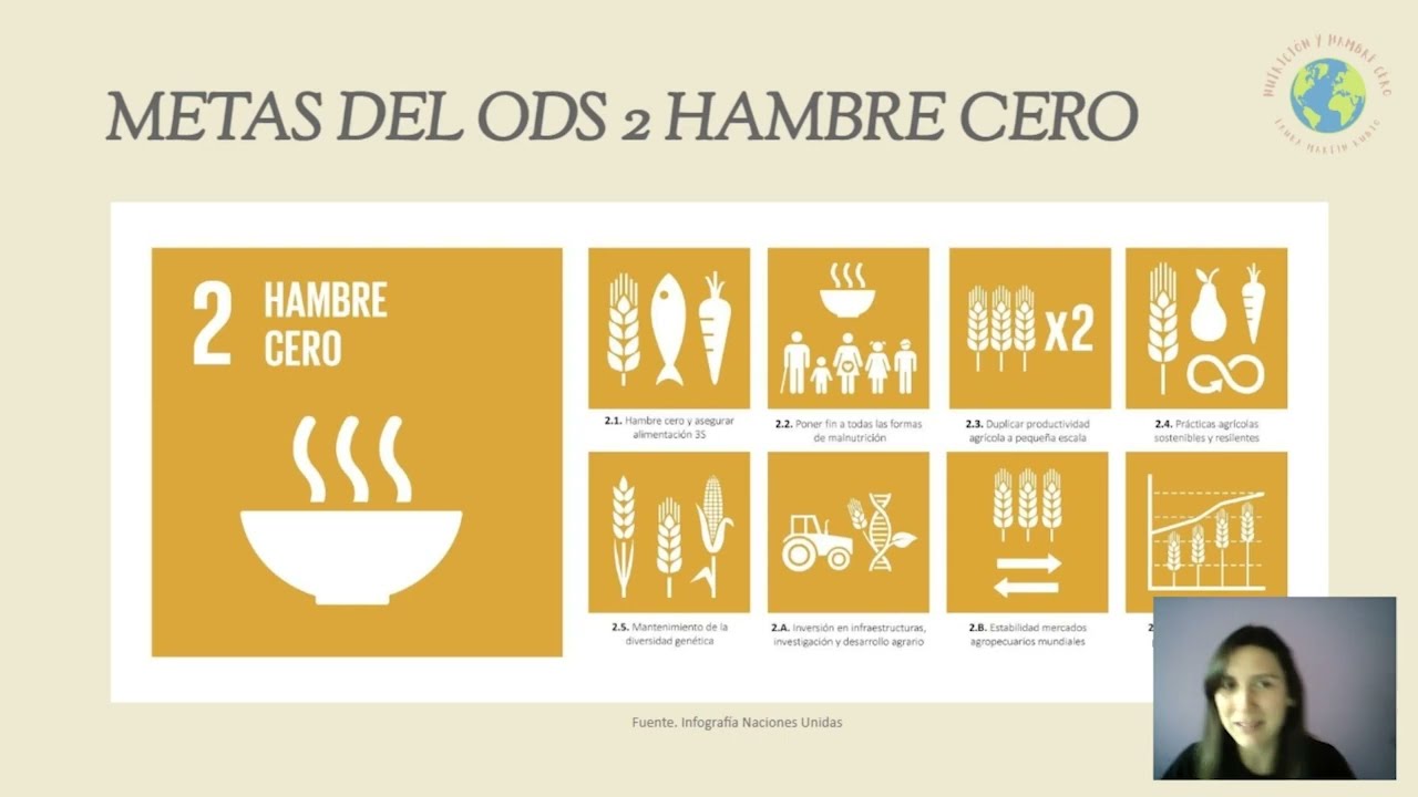 ¿Conoces los conceptos indisociables hambre, inseguridad alimentaria y desnutrición? ODS 2 Hambre 0