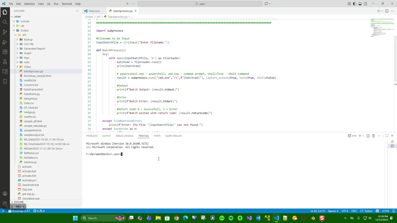 Python - Automated Batch Processing in Python