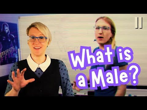 Trans Women ARE Biological Males (A Response to Jessie Gender)