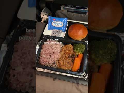 everything i ate on my 7 hour flight from tokyo to singapore | singapore airlines food review