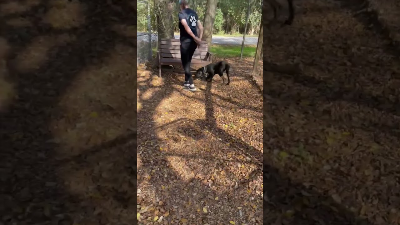 1d452b44 6b6d 43de a5e0 d12f1db2ecc2