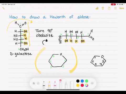 20.3 How to Draw the Haworth Structure of an Aldose