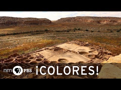 NMPBS ¡COLORES!: Archaeoastronomer Anna Sofaer