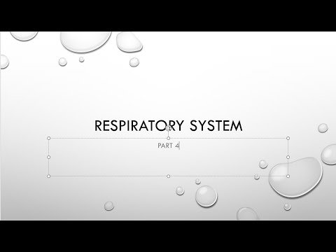 A&P 2 Respiratory System Part 4
