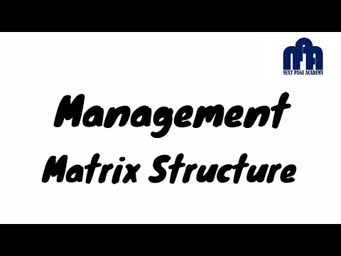 Matrix Organizational Structure