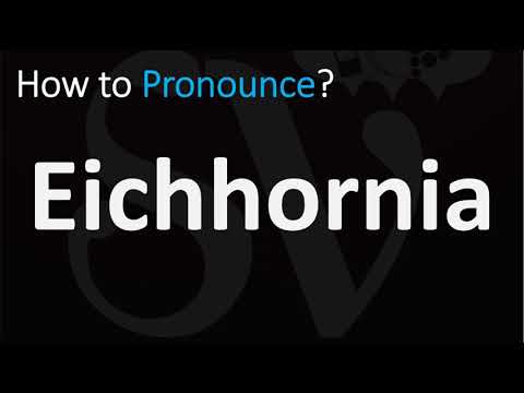 How to Pronounce Eichhornia? (CORRECTLY)