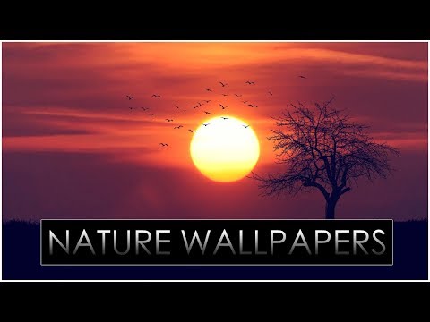 HD Nature Wallpapers Pack #5 !! Download Now !!