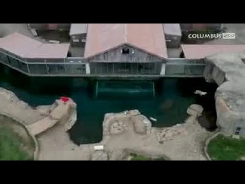 Polar Bear name