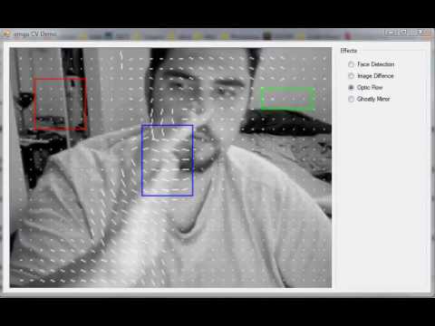 optic flow test
