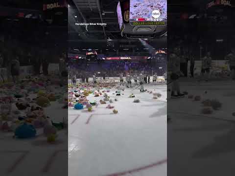 Hockey fans throw thousands of stuffed animals on the ice for charity