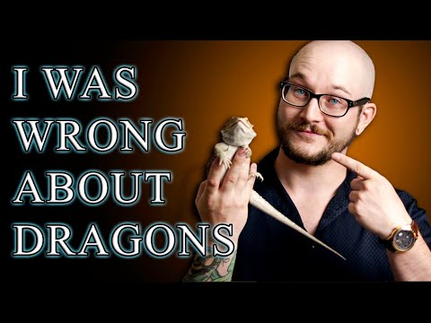 I was VERY Wrong About Bearded Dragons