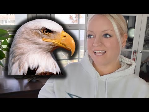 Spiritual Meaning of Seeing a Bald Eagle | Animal Symbols & Omens