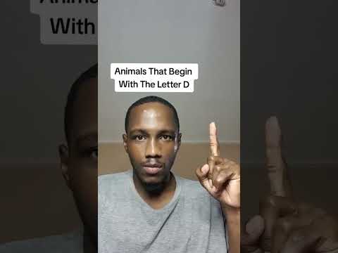 Animals That Begin With The Letter Dπ #animals #interesting #viral #shorts #xyzbca
