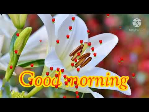 good morning images pics gifs hd wallpaper photos images for social sharing