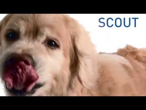 Your sneak peek at the Ontario SPCA’s Second Chances Calendar Stars! Buy your calendar now.