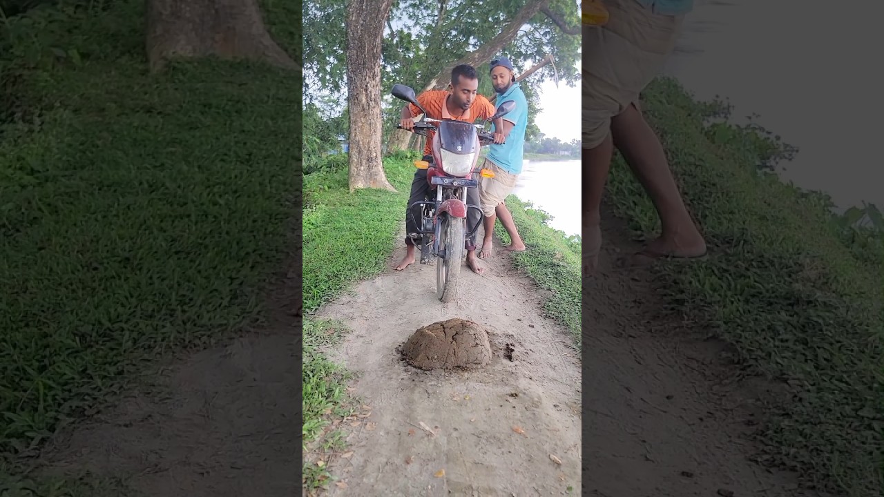 Dung in the middle of the road. 36