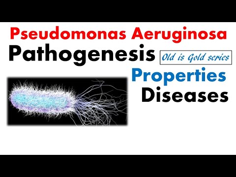 Pseudomonas aeruginosa microbiology | pathogenesis, infection and treatment