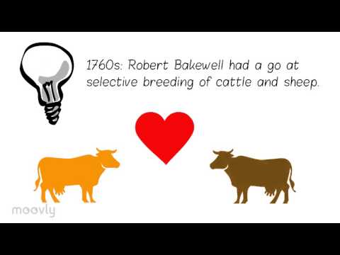 The Agricultural Revolution