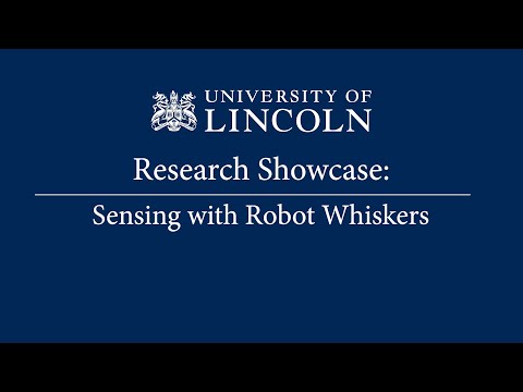 MSc Research Showcase: Sensing with Robot Whiskers