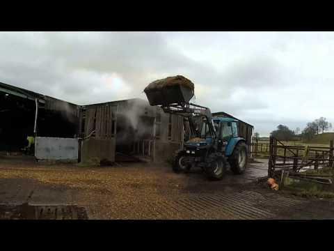 Biomass