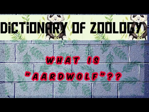What is AARDWOLF?? | Dictionary of Zoology