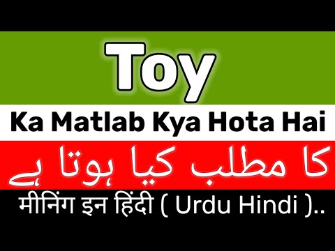 Toy Meaning | Toy Meaning In Urdu | Toy Ka Matlab Kya Hota Hai | Toy Ka Meaning Kya Hai