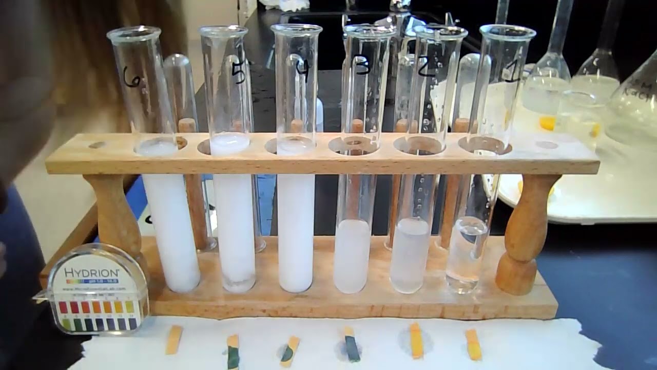 LABsent Shell Shift Lab