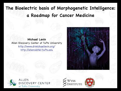 The Bioelectric Basis of Morphogenetic Intelligence – new science