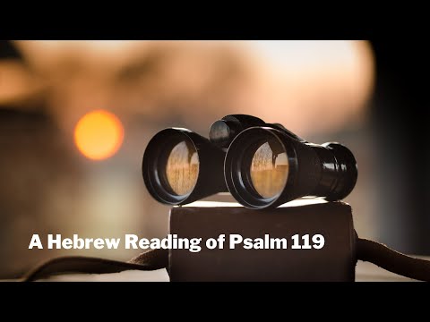The Meaning of Vision: A Hebrew Reading of Psalm 119