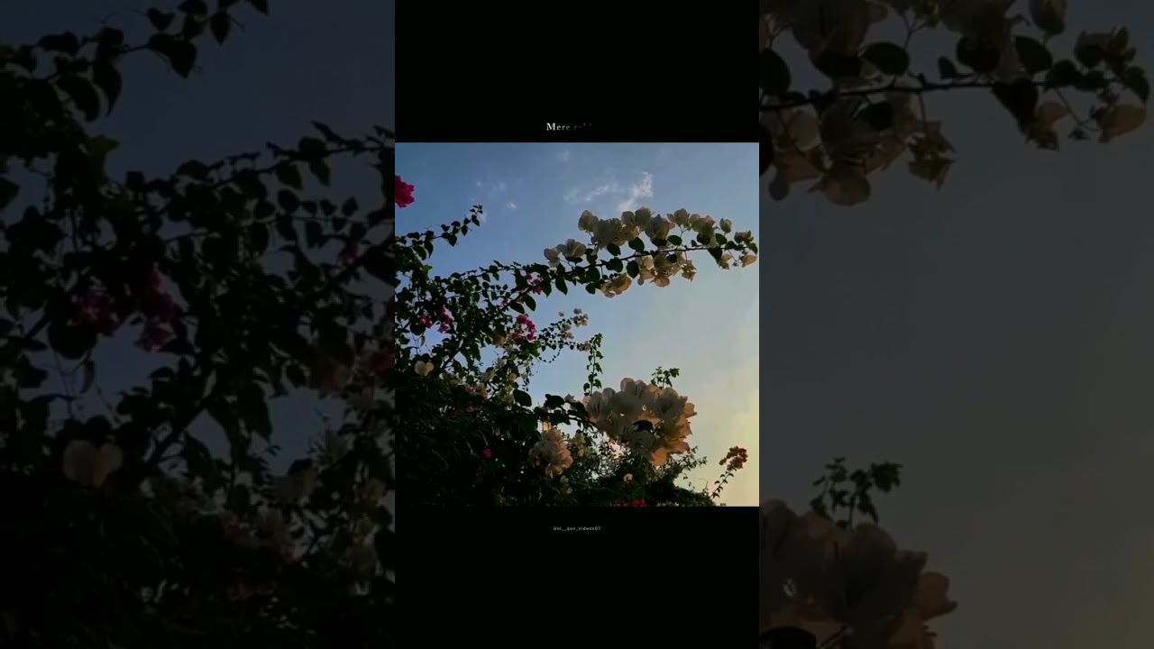 Pin oleh random🙆‍♀️ di Pretty lyrics